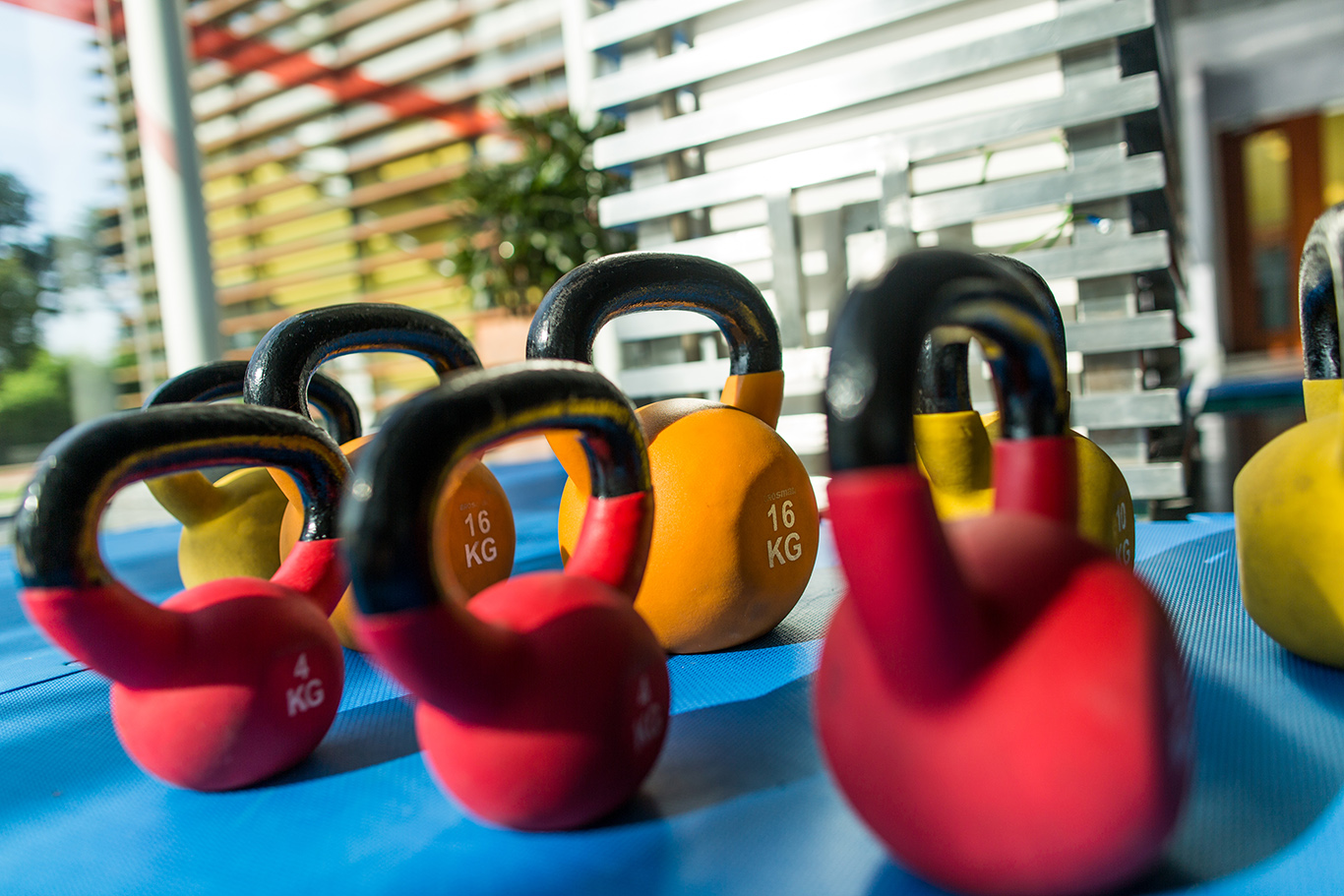 Alumni benefits - RMIT University